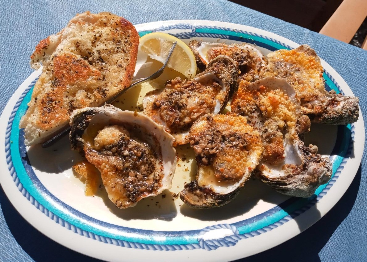 High Tide Harry’s – The Saboscrivner